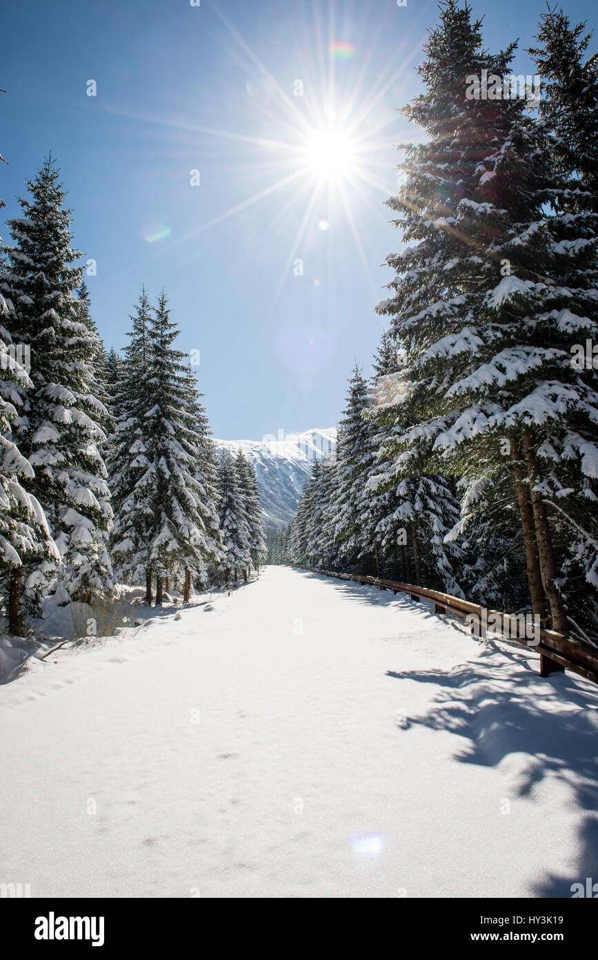 sunny tourist hiking track in winter snow, in western carpathian, tatry ...