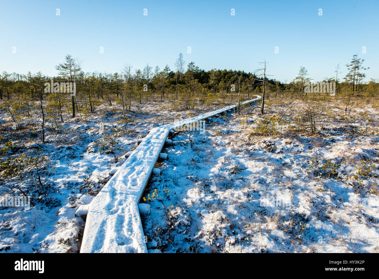 snowy tourist hiking trail in woods in winter. trails in snow Stock ...