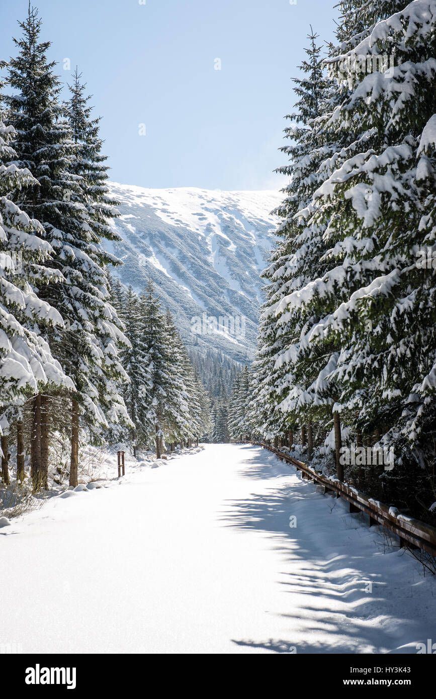sunny tourist hiking track in winter snow, in western carpathian, tatry ...