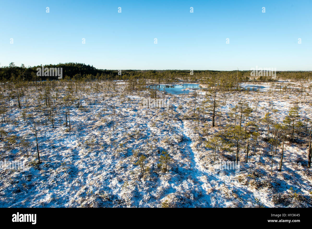 snowy tourist hiking trail in woods in winter. trails in snow Stock ...