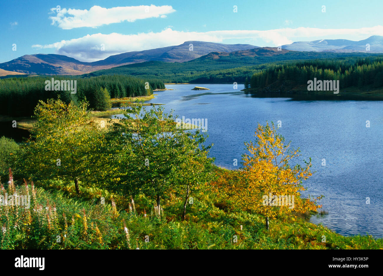 Scotland, Highlands, Loch Maree View over trees towards Loch Laggan ...