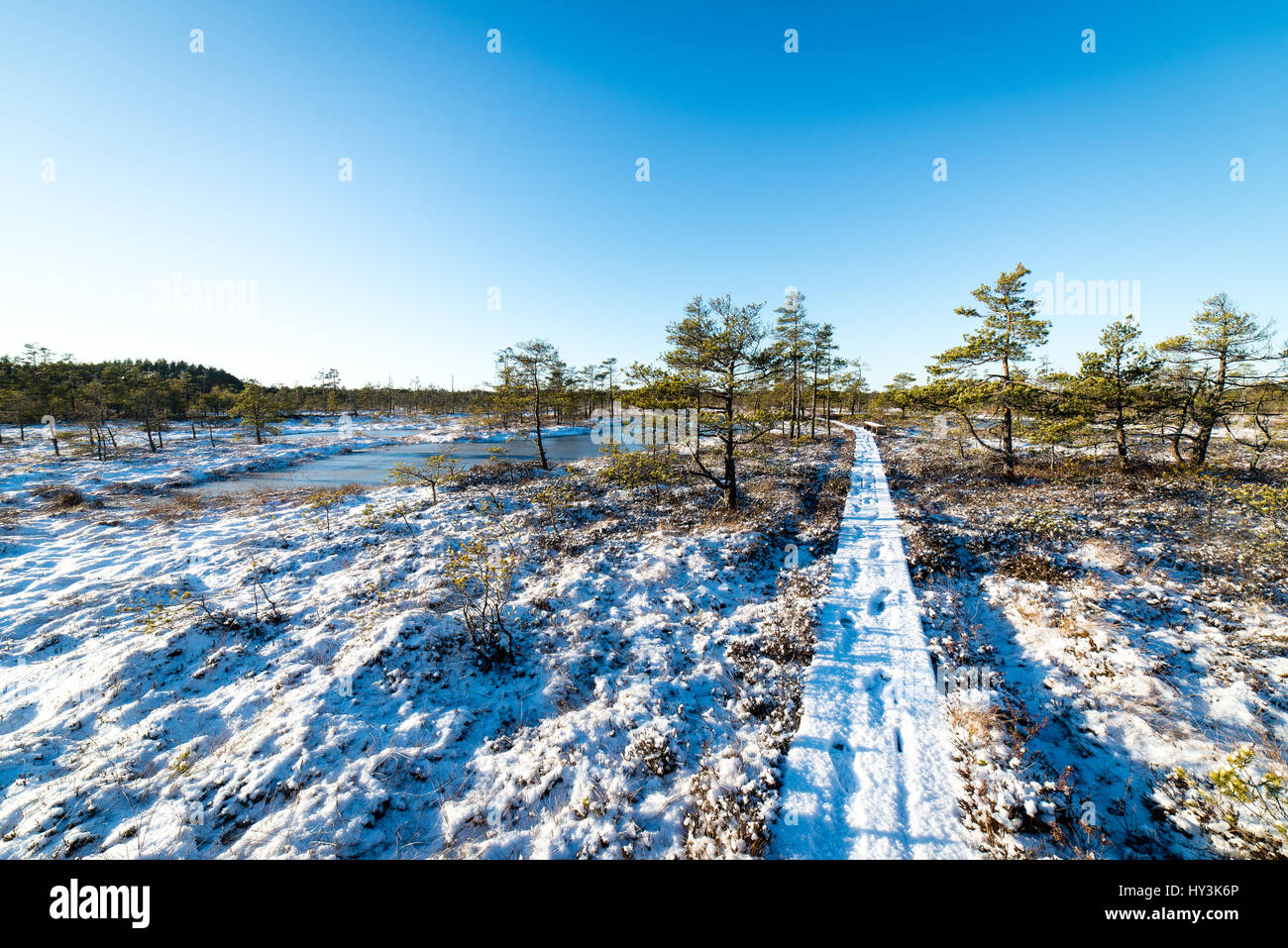 snowy tourist hiking trail in woods in winter. trails in snow Stock ...