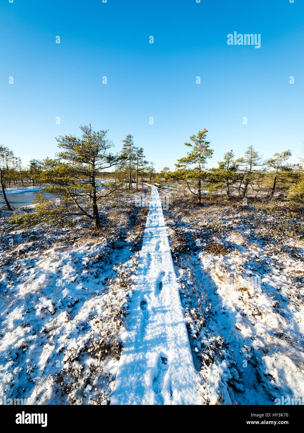 snowy tourist hiking trail in woods in winter. trails in snow Stock ...