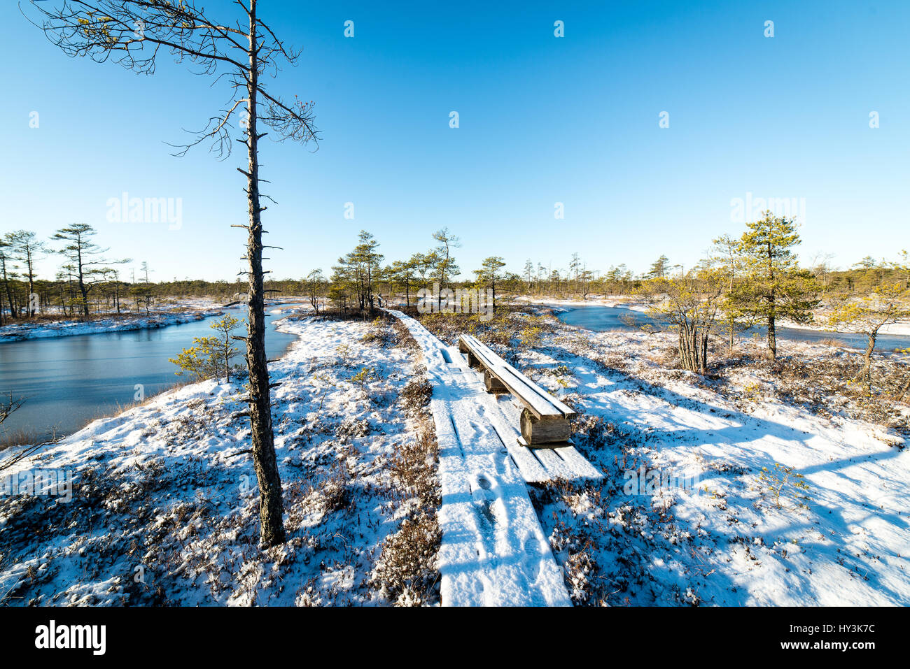 snowy tourist hiking trail in woods in winter. trails in snow Stock ...