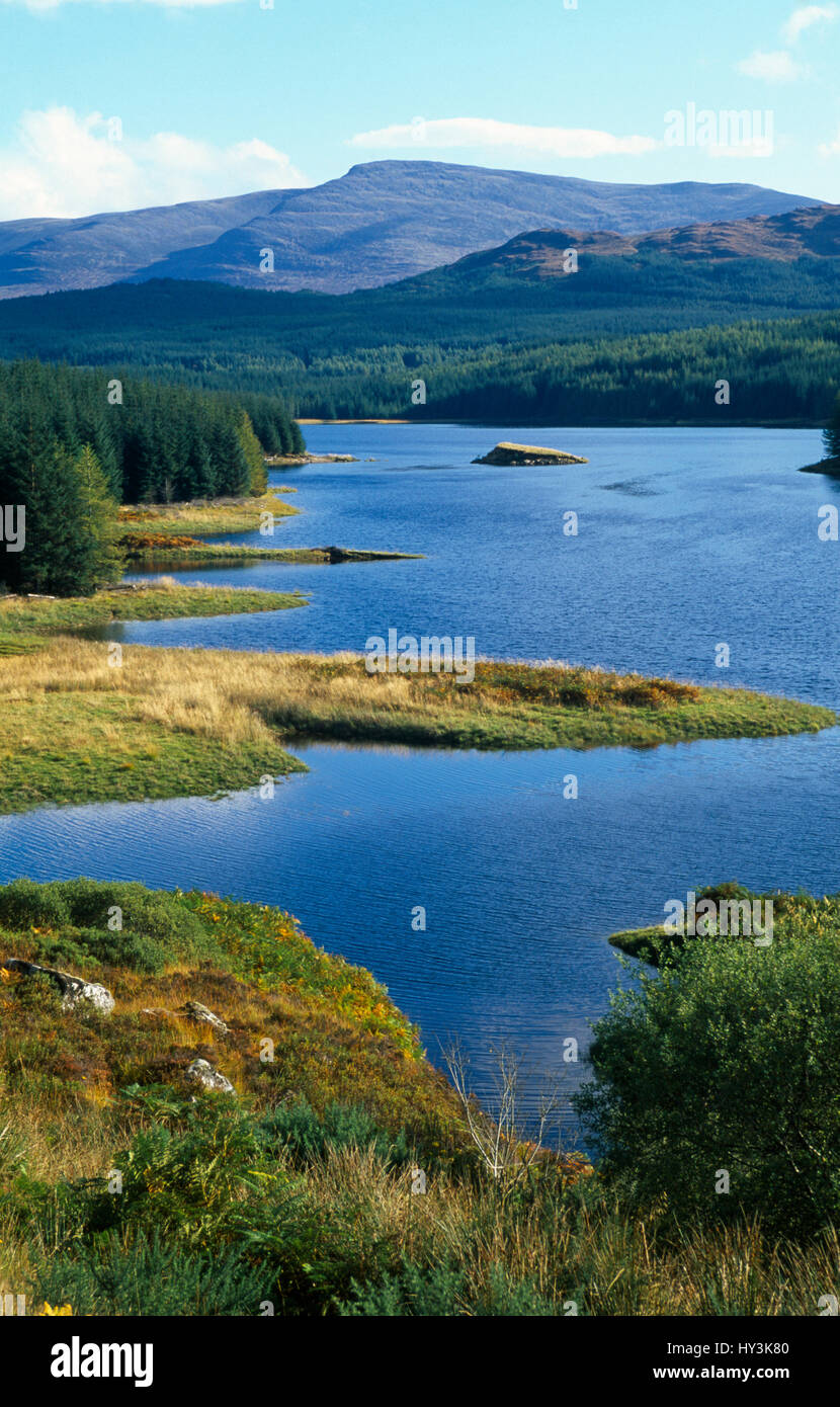 Scotland, Highlands, Loch Maree, View over trees towards Loch Laggan ...