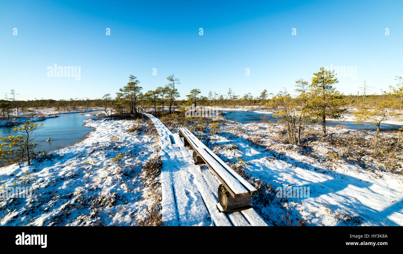 snowy tourist hiking trail in woods in winter. trails in snow Stock ...