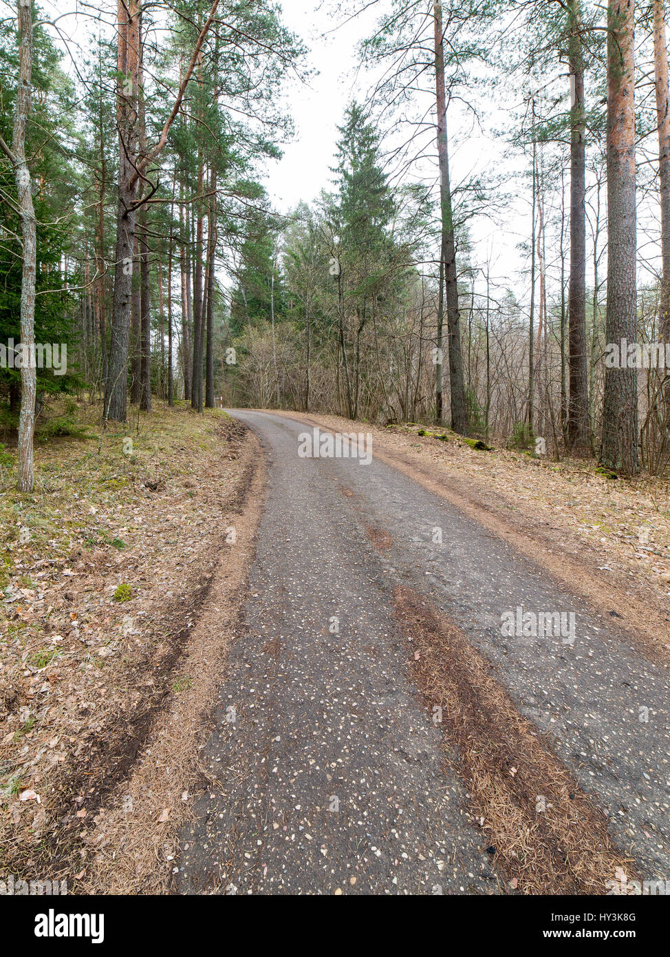 empty country road with perspective Stock Photo - Alamy