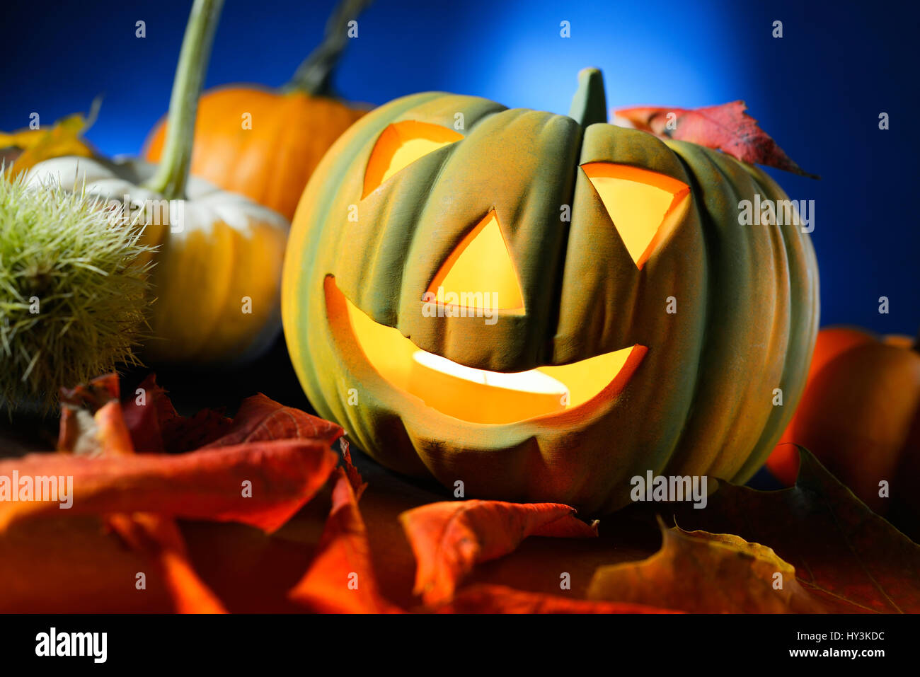 Krbis Halloween Bilder