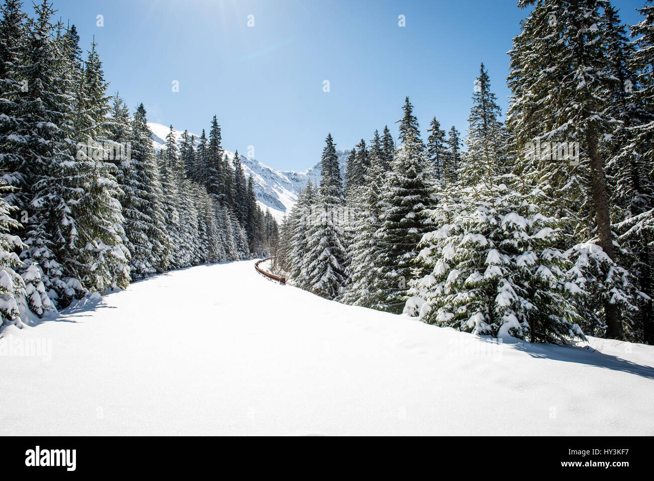 sunny tourist hiking track in winter snow, in western carpathian, tatry ...