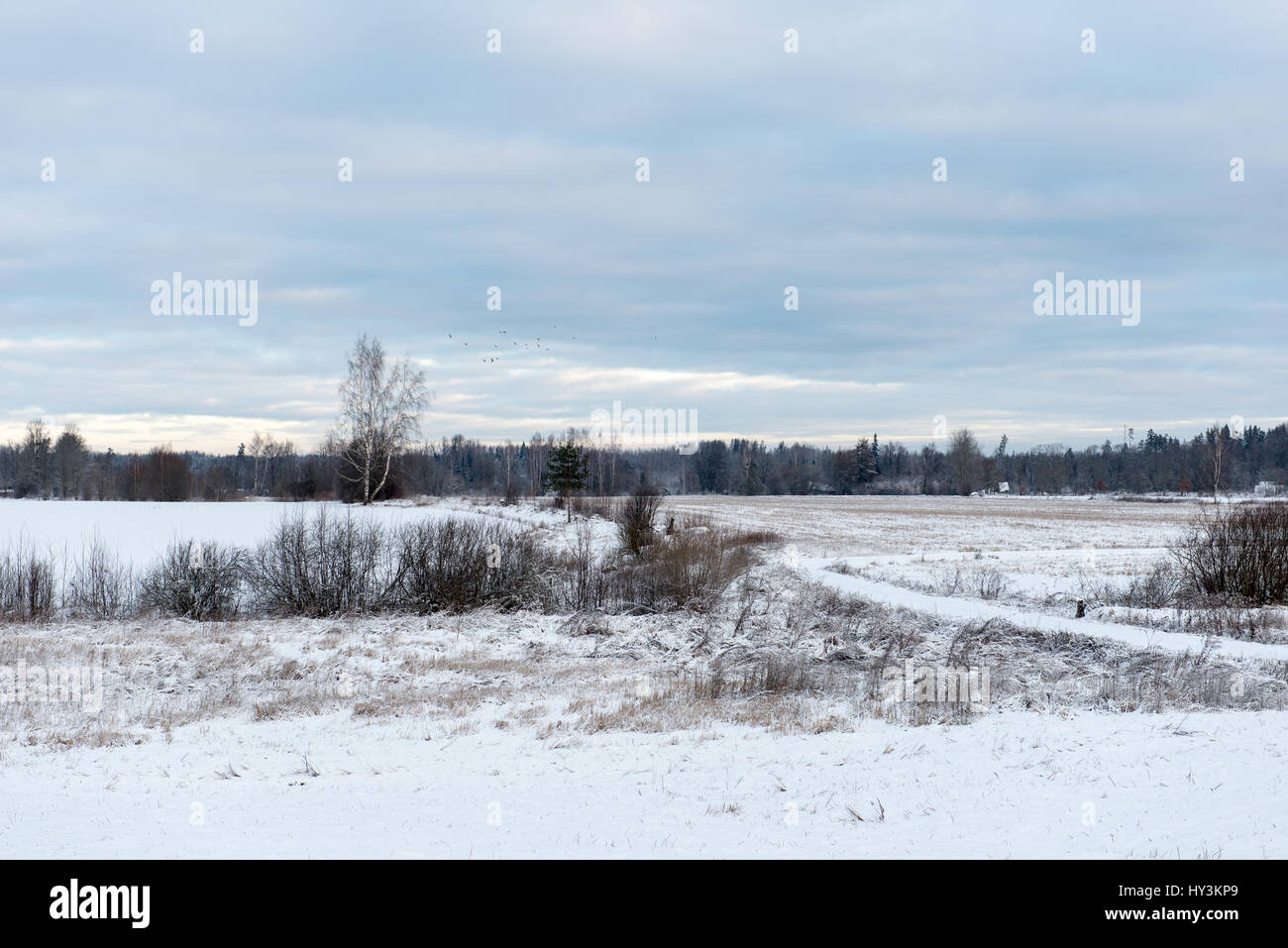 country snowy road in winter, rural area Stock Photo - Alamy