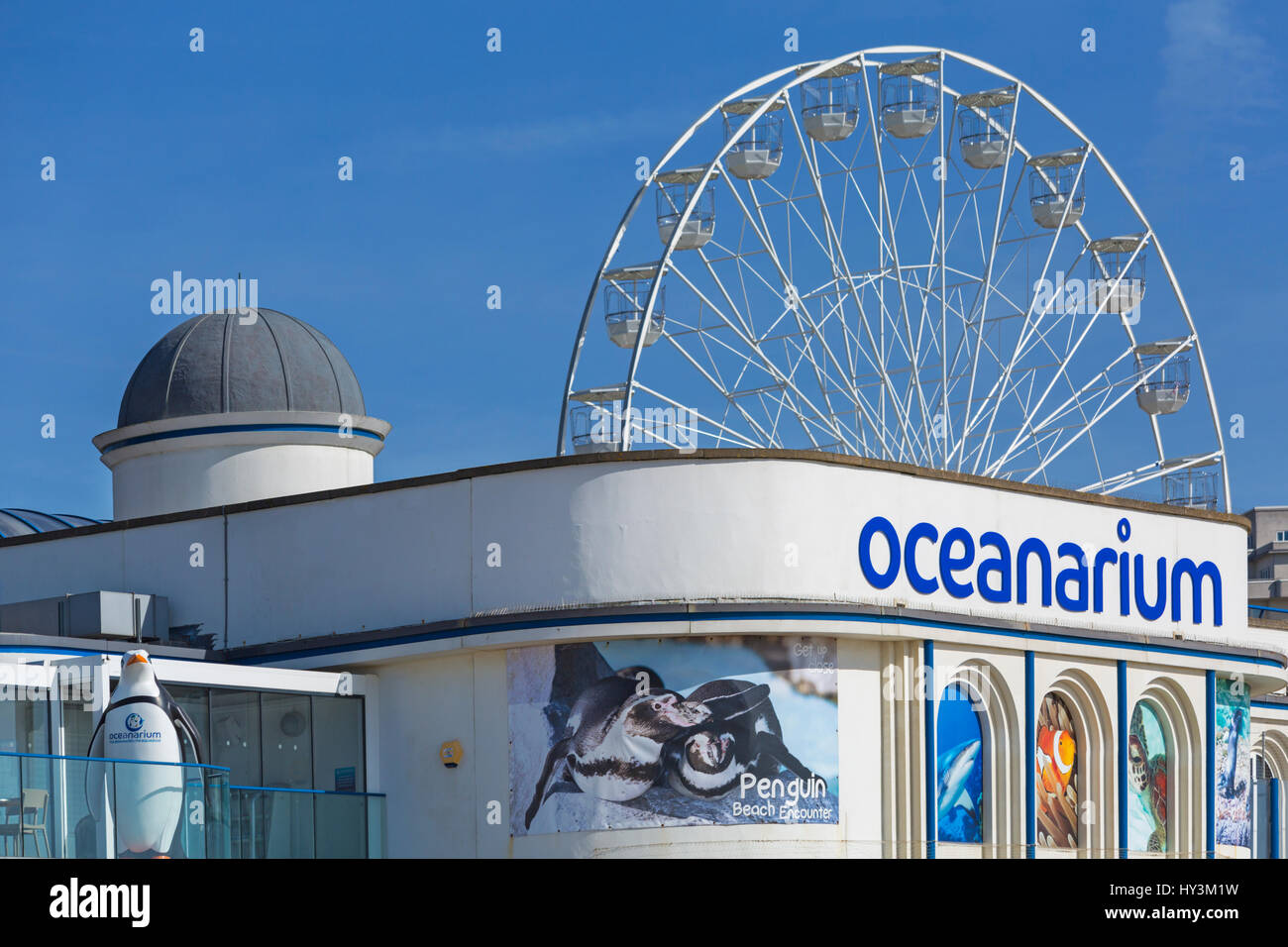 Bournemouth - Big Wheel towers behind the Oceanarium the Bournemouth ...