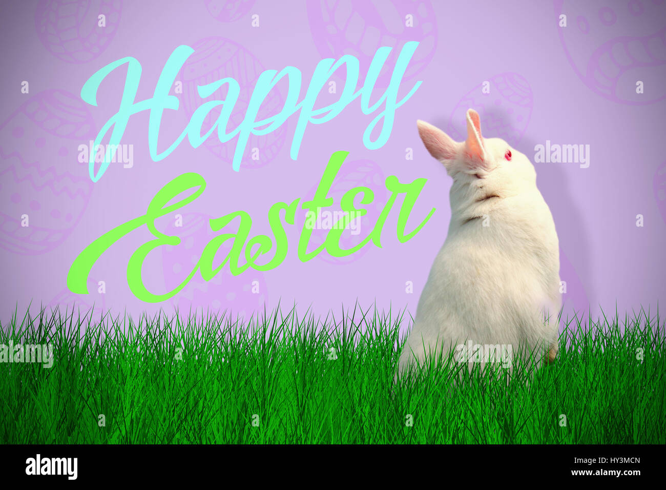 Rear view of cute rabbit against purple background Stock Photo - Alamy