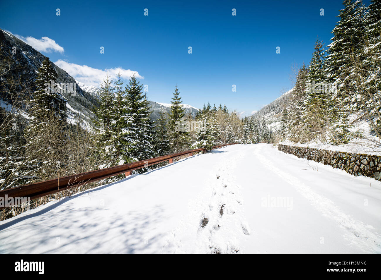 sunny tourist hiking track in winter snow, in western carpathian, tatry ...