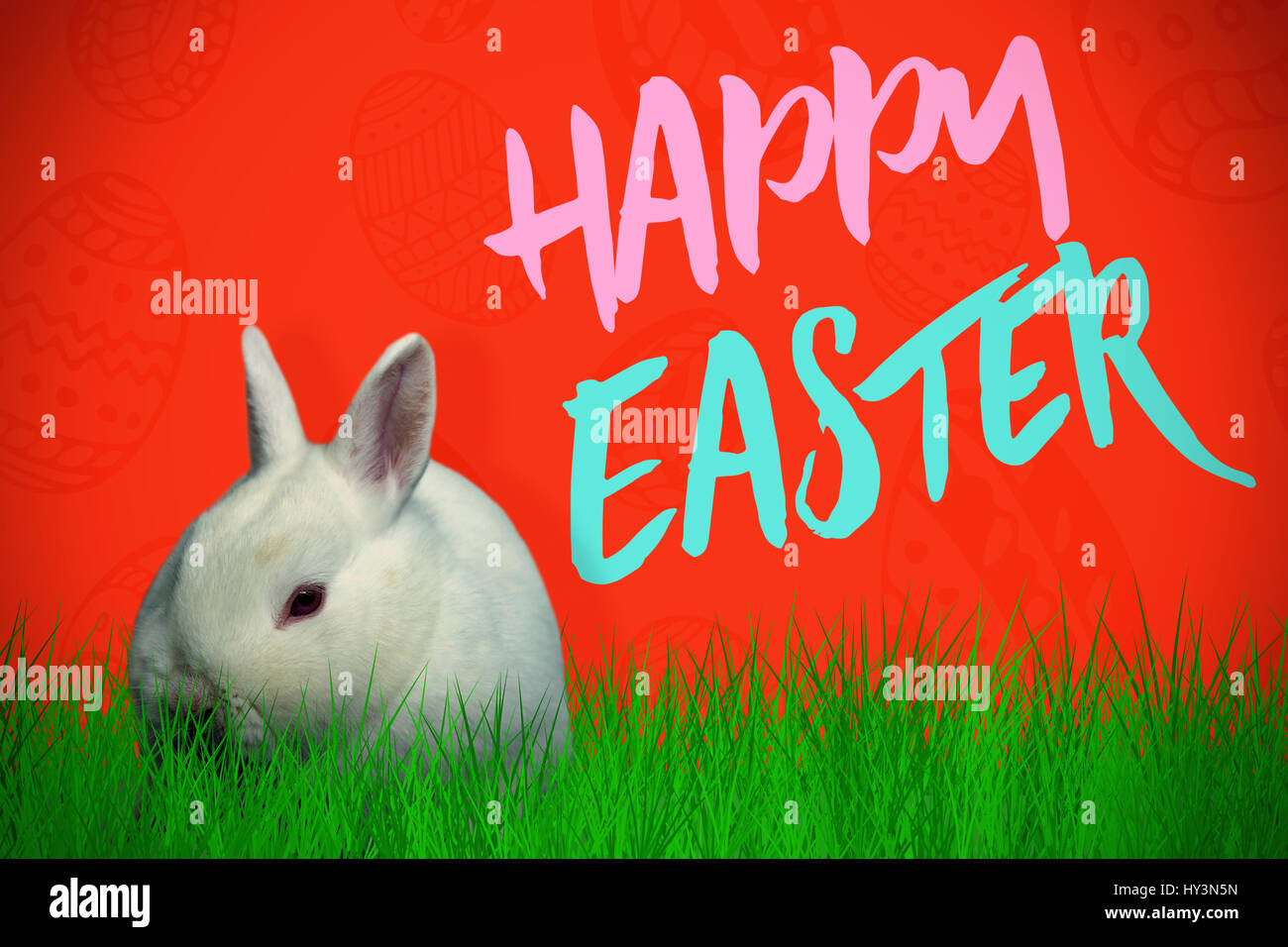 Rabbit against white background against red background Stock Photo - Alamy