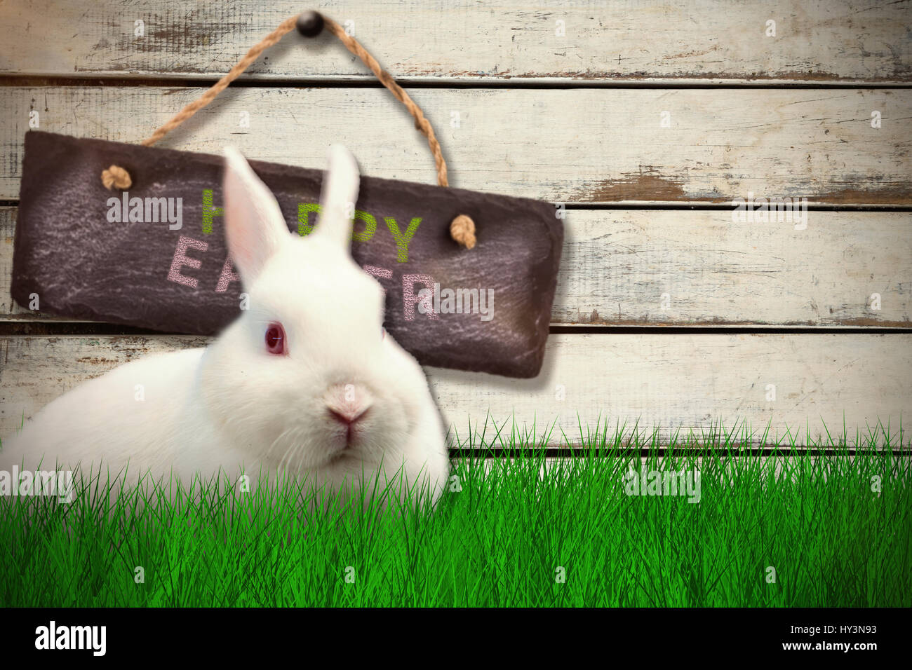 Rabbit over white background against wood background Stock Photo - Alamy