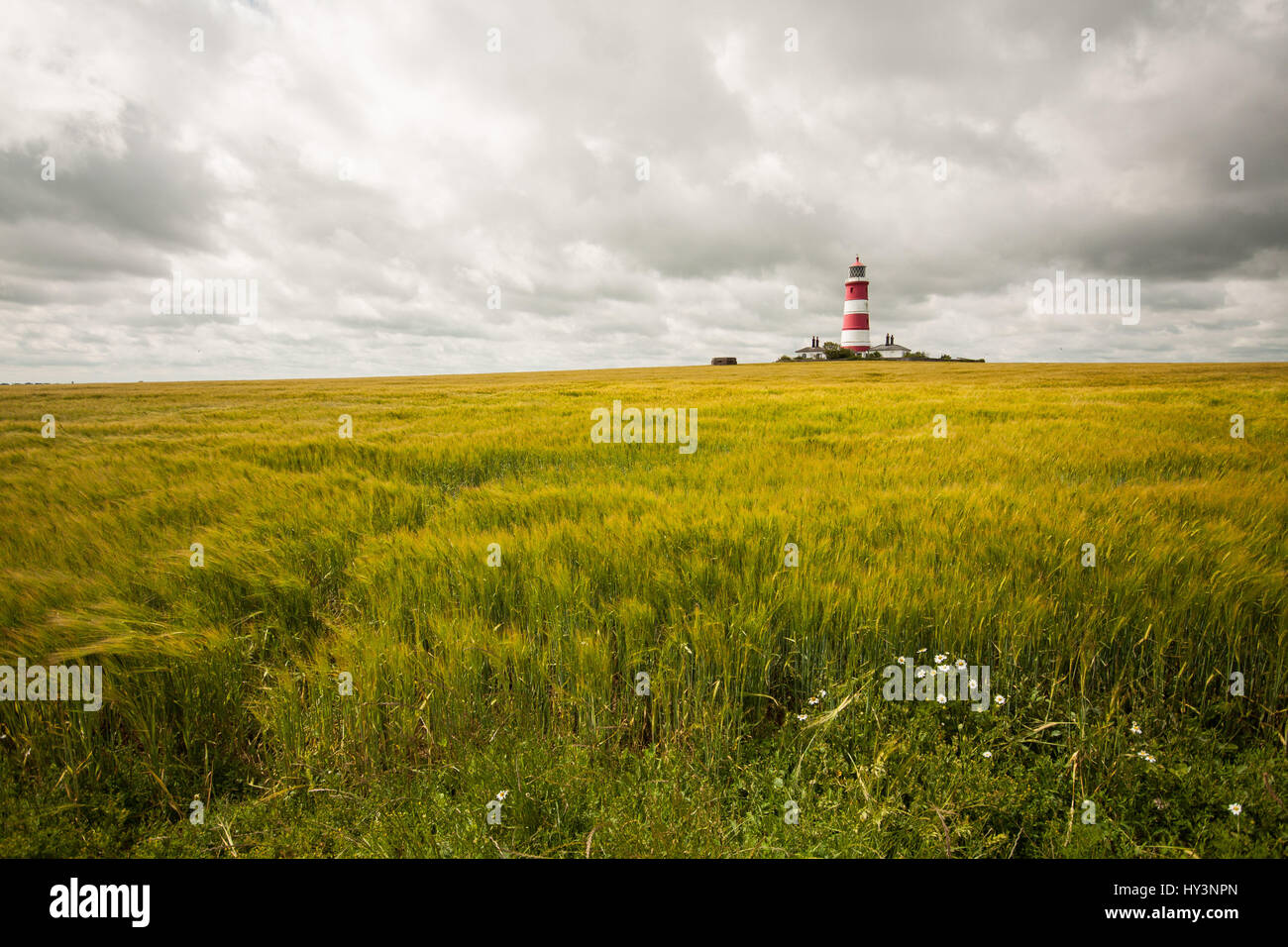 Happisburgh Lighthouse in Norfolk Stock Photo - Alamy