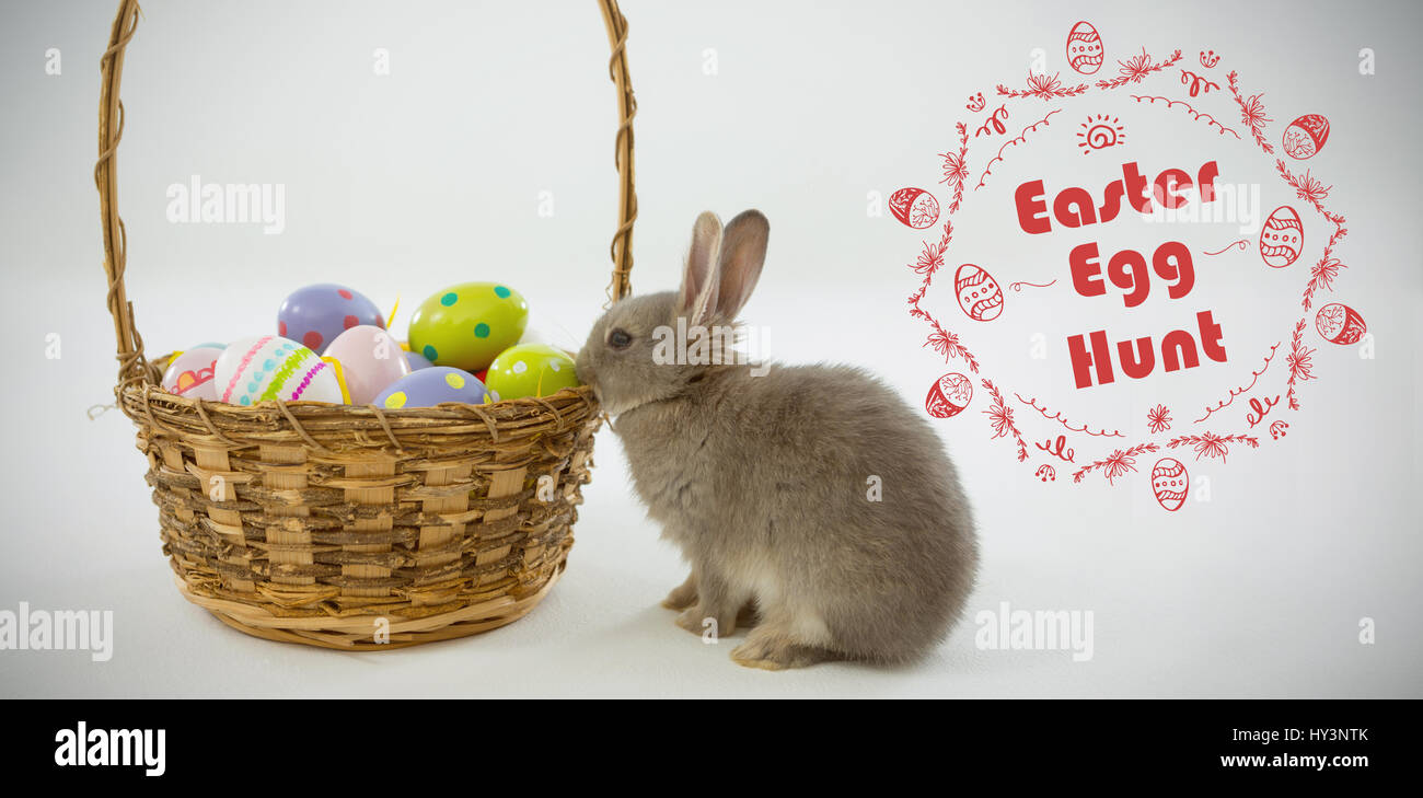 Easter Egg Hunt logo against white background against basket with ...