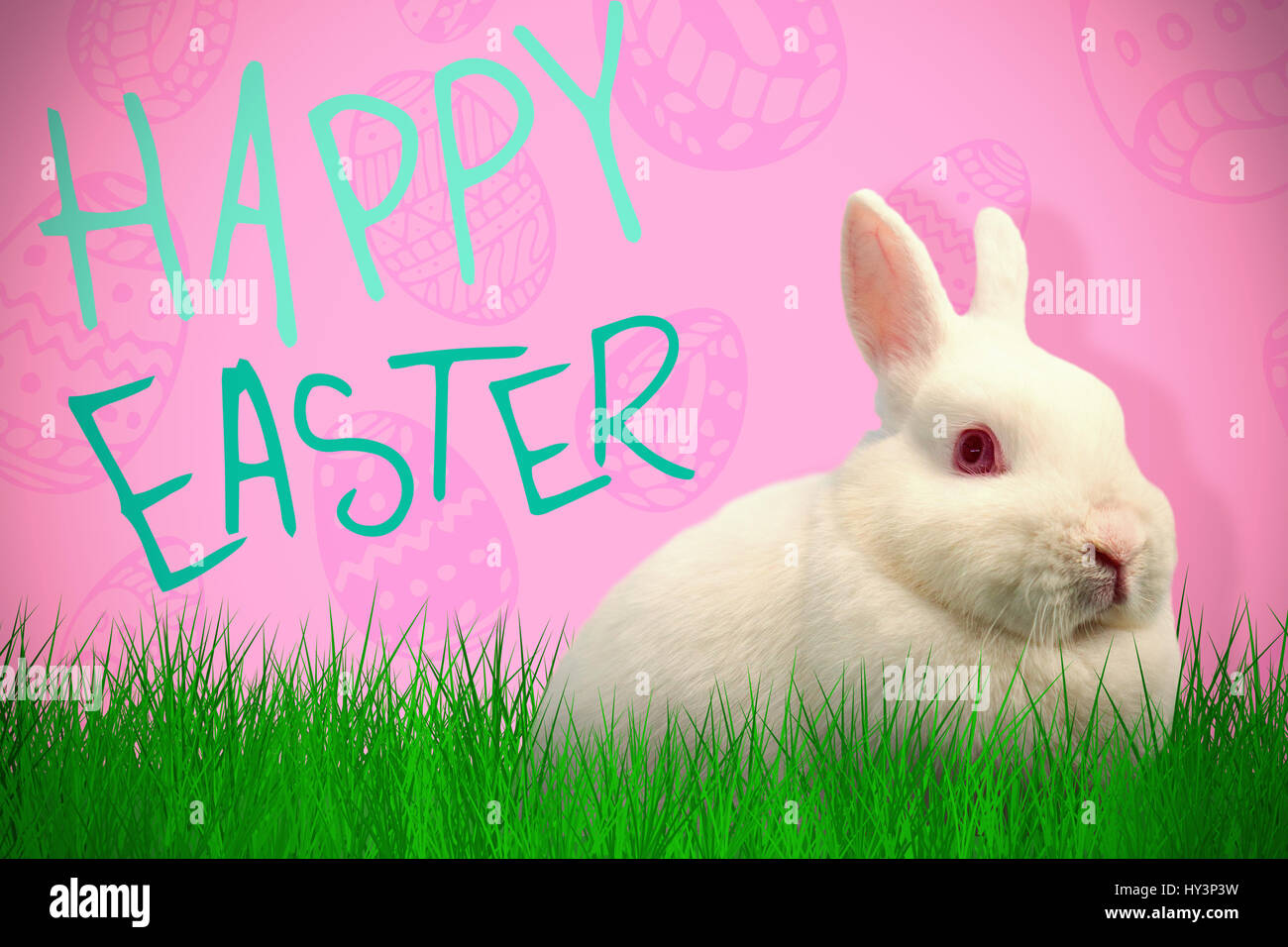 Close up portrait of cute rabbit against pink background Stock Photo ...