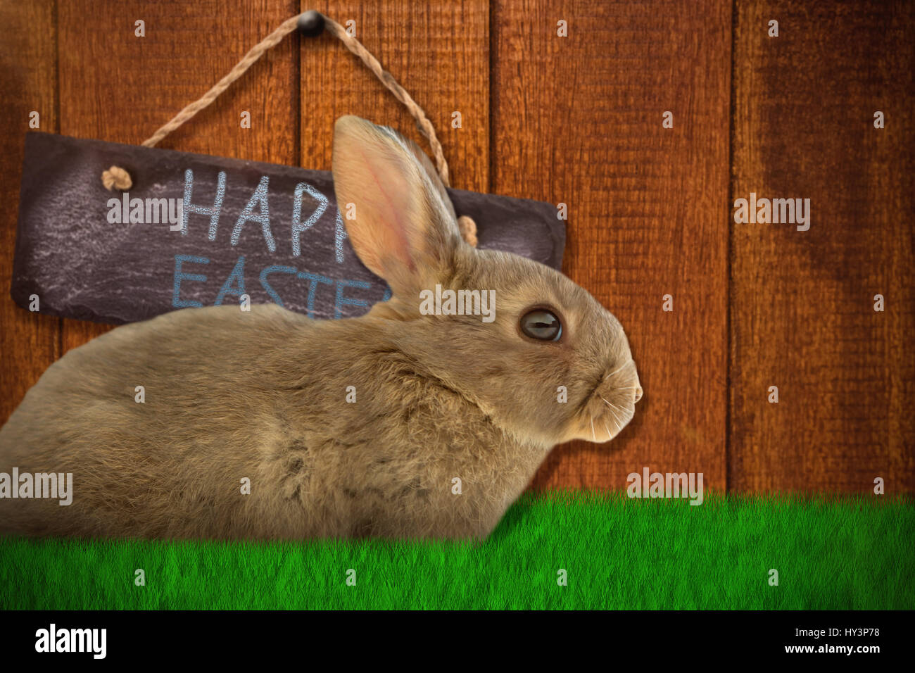 Side view of cute brown rabbit against wooden background Stock Photo ...