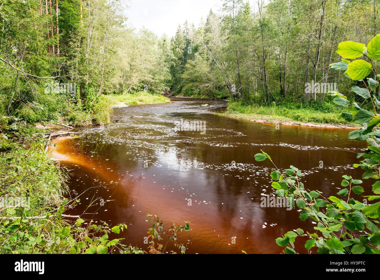 Mountain river with Flowing Water Stream and sandstone cliffs Stock ...