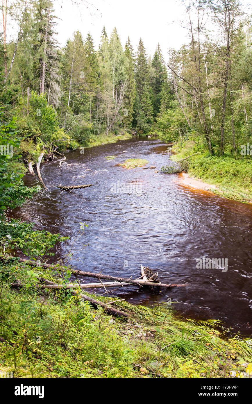 Mountain river with Flowing Water Stream and sandstone cliffs Stock ...