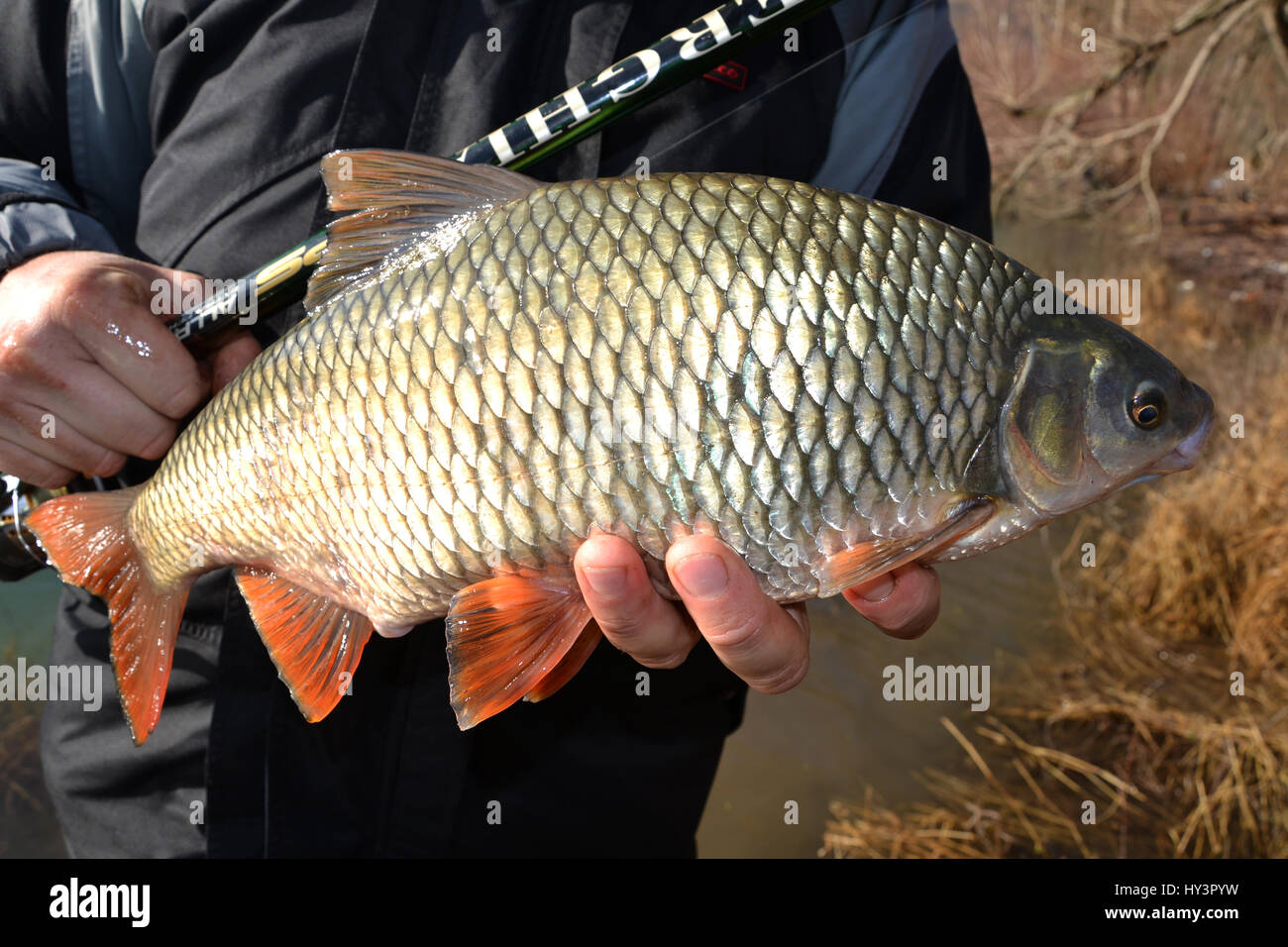 Bolo fishing hi-res stock photography and images - Alamy