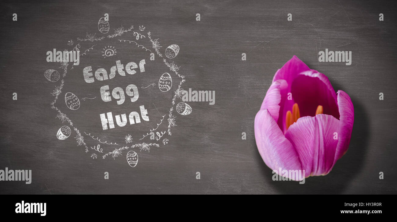 Easter Egg Hunt logo against a black background against blue background ...