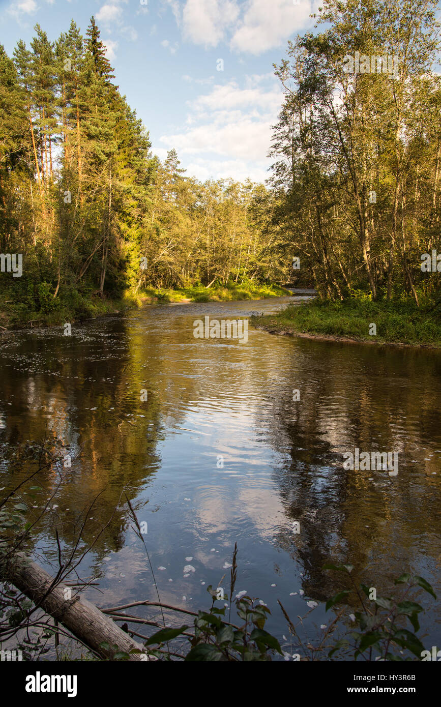 Mountain river with Flowing Water Stream and sandstone cliffs Stock ...