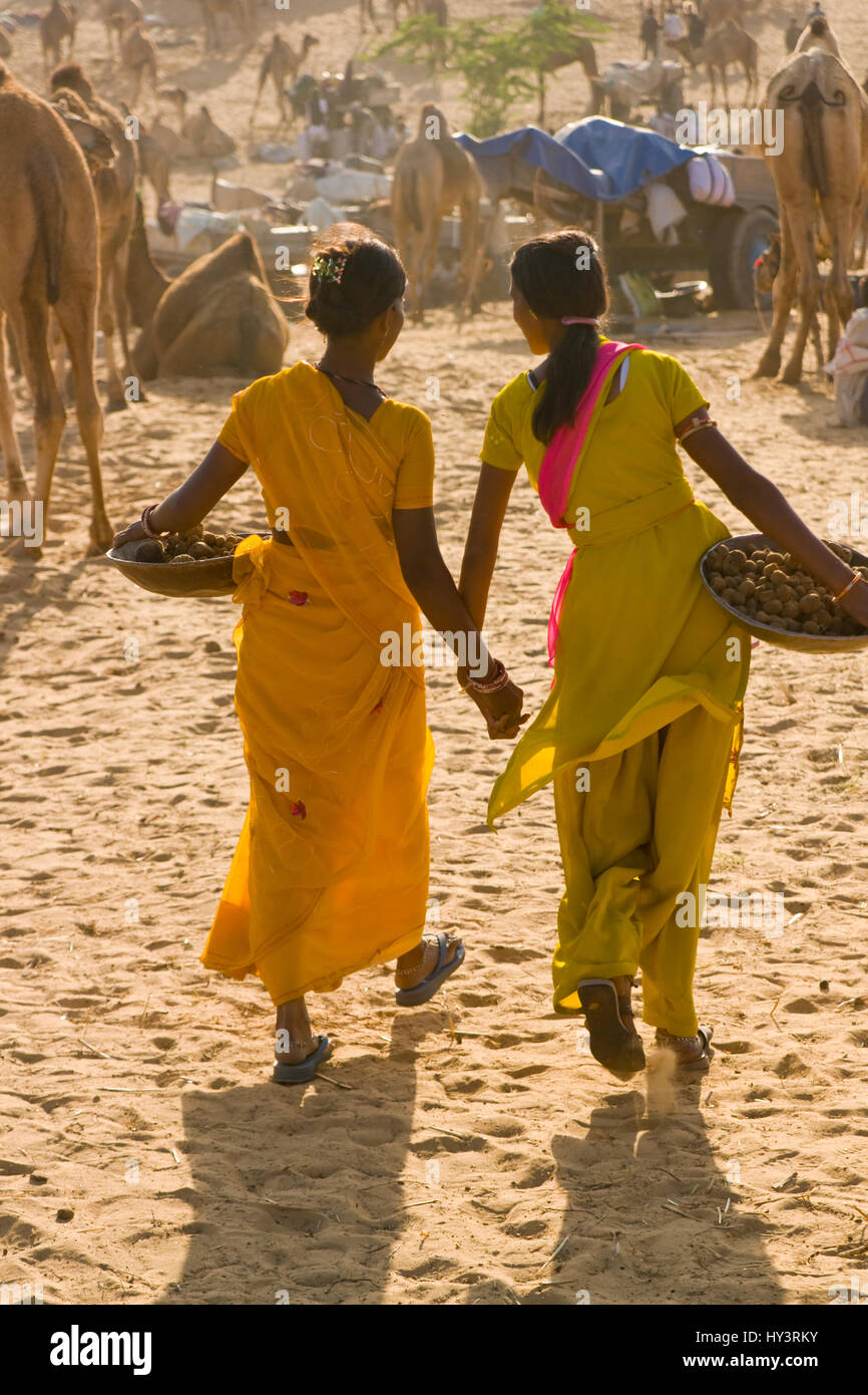 Camel dung hi-res stock photography and images - Alamy