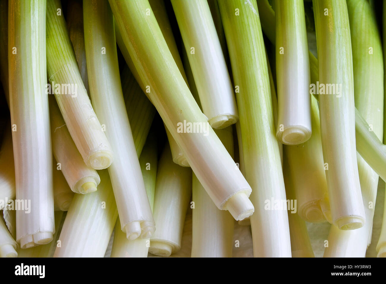 Spring onions texture background Stock Photo - Alamy