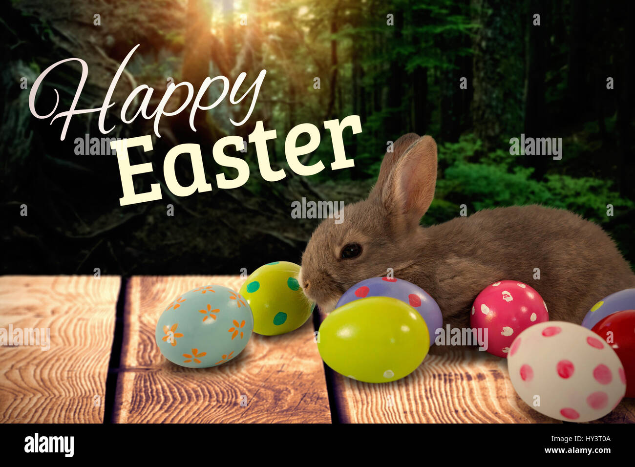 Easter greeting against trees during sunset Stock Photo - Alamy