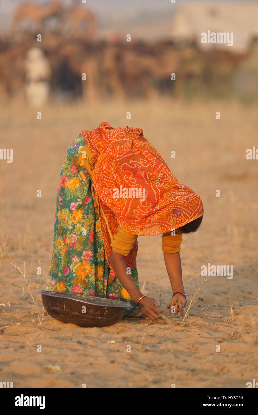 Camel dung hi-res stock photography and images - Alamy