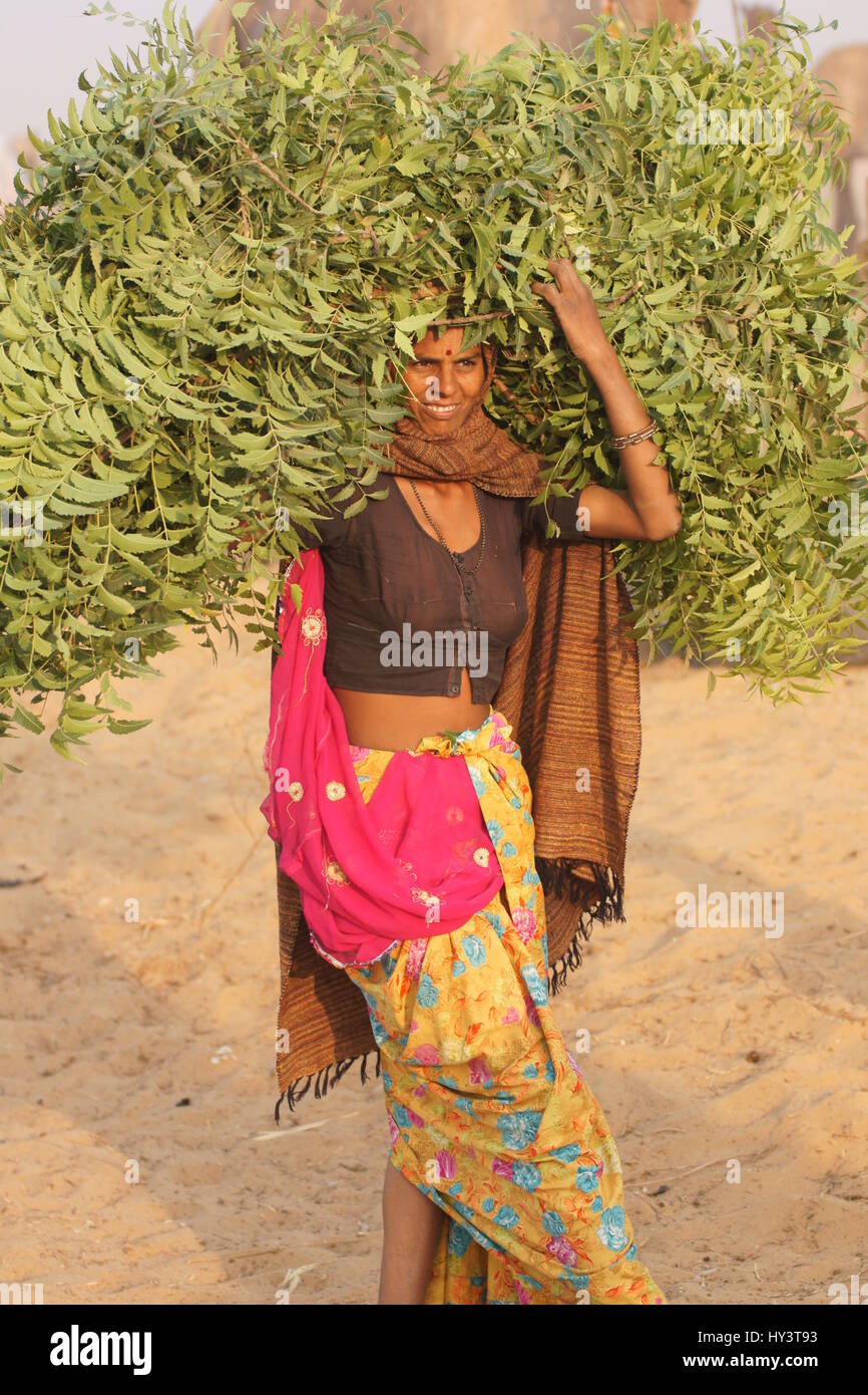 Indian woman carrying bundle in hi-res stock photography and images - Alamy