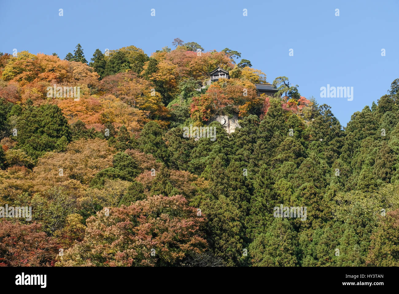 Yamadera Temple at top of mountain with autumn colour trees in Yamagata ...