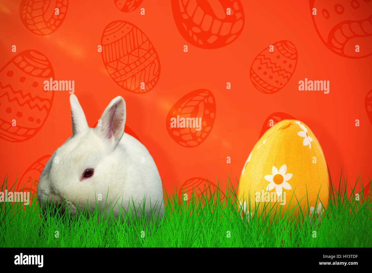 Rabbit against white background against red background Stock Photo - Alamy