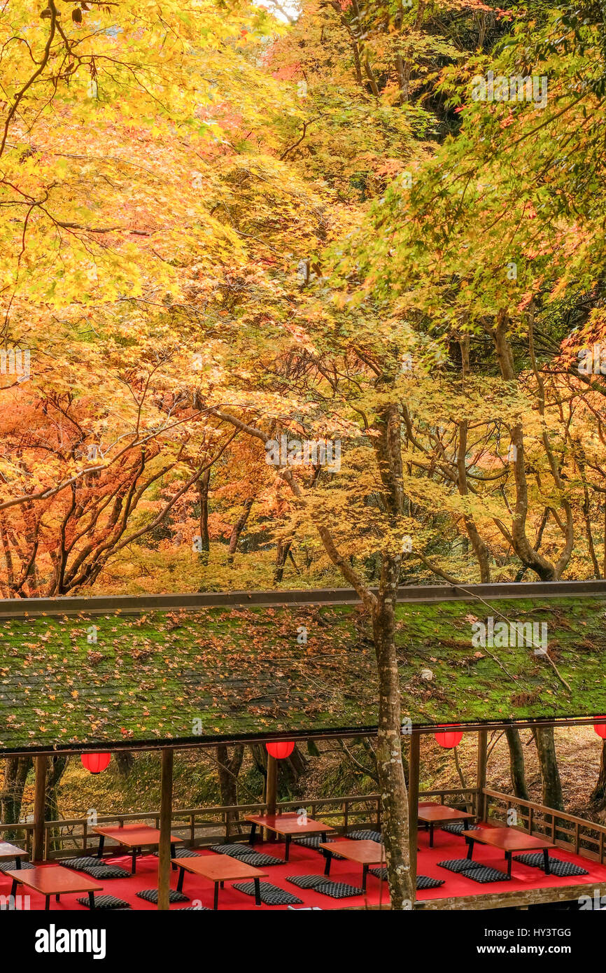 Traditional Japanese seating restaurant with red tables and black ...