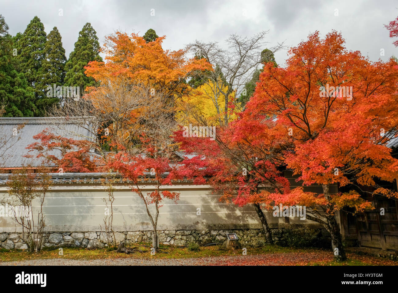 Jingoji temple hi-res stock photography and images - Alamy