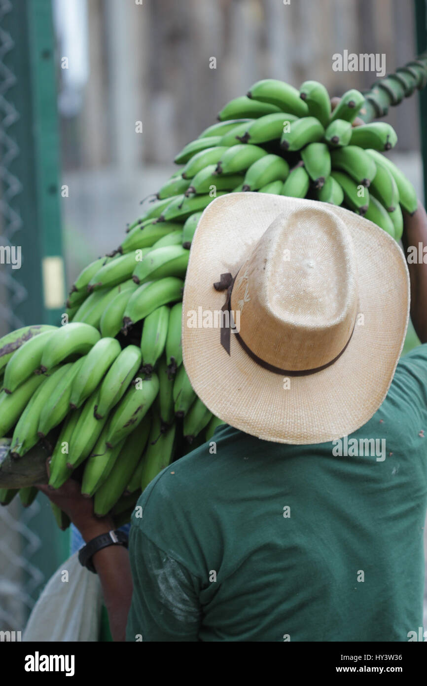 Men with a hat carrying heavy bananas Stock Photo - Alamy