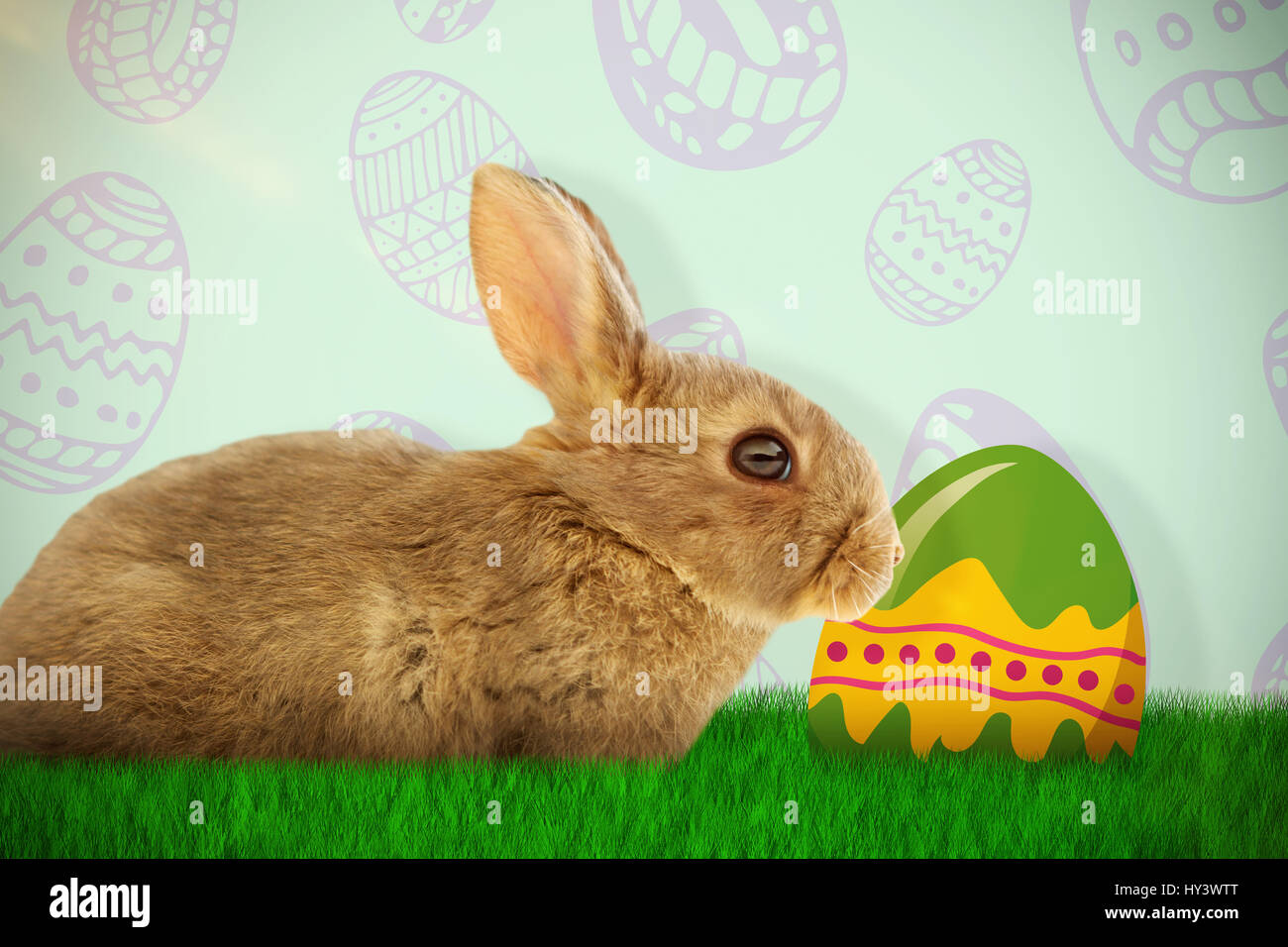 Side view of cute brown rabbit against blue background Stock Photo - Alamy