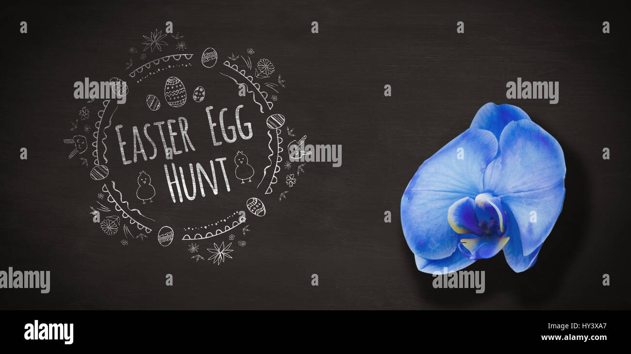 Easter Egg Hunt logo against a black background against black ...