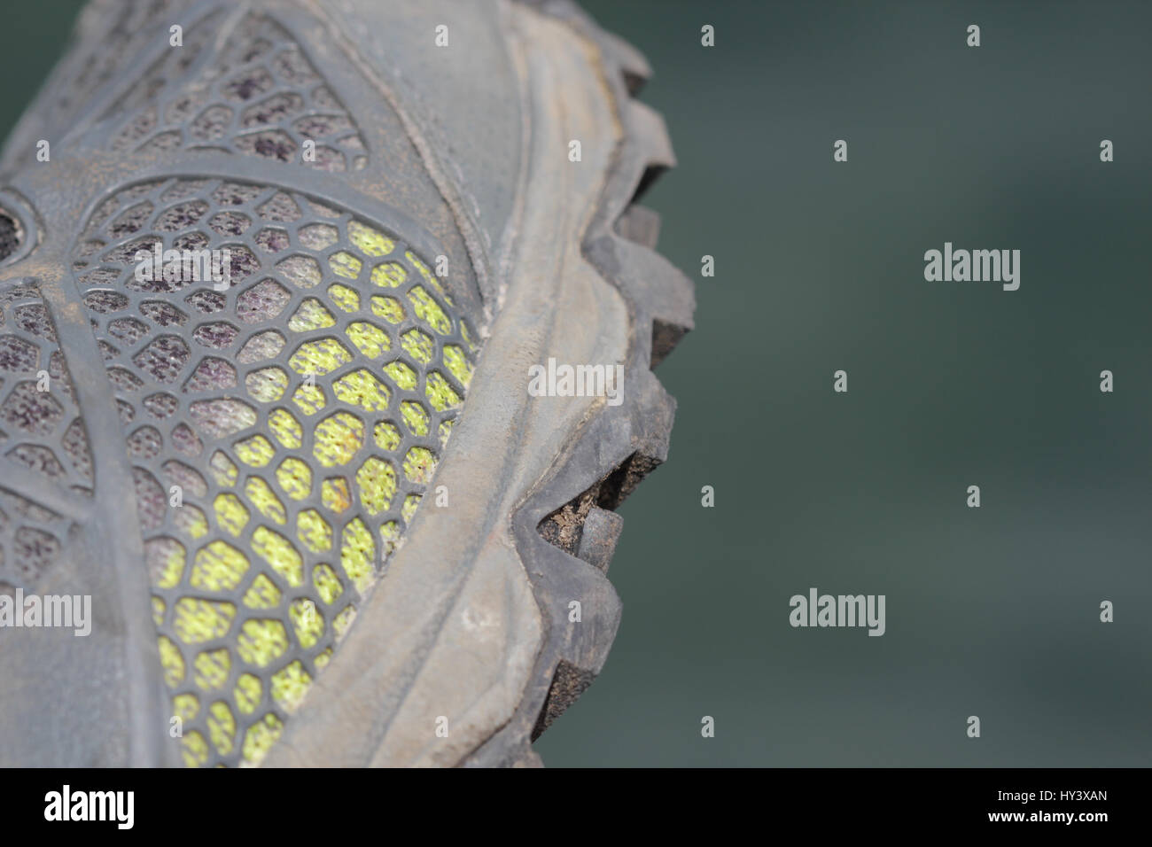 Hiking new modern shoe tip after a long hike Stock Photo - Alamy