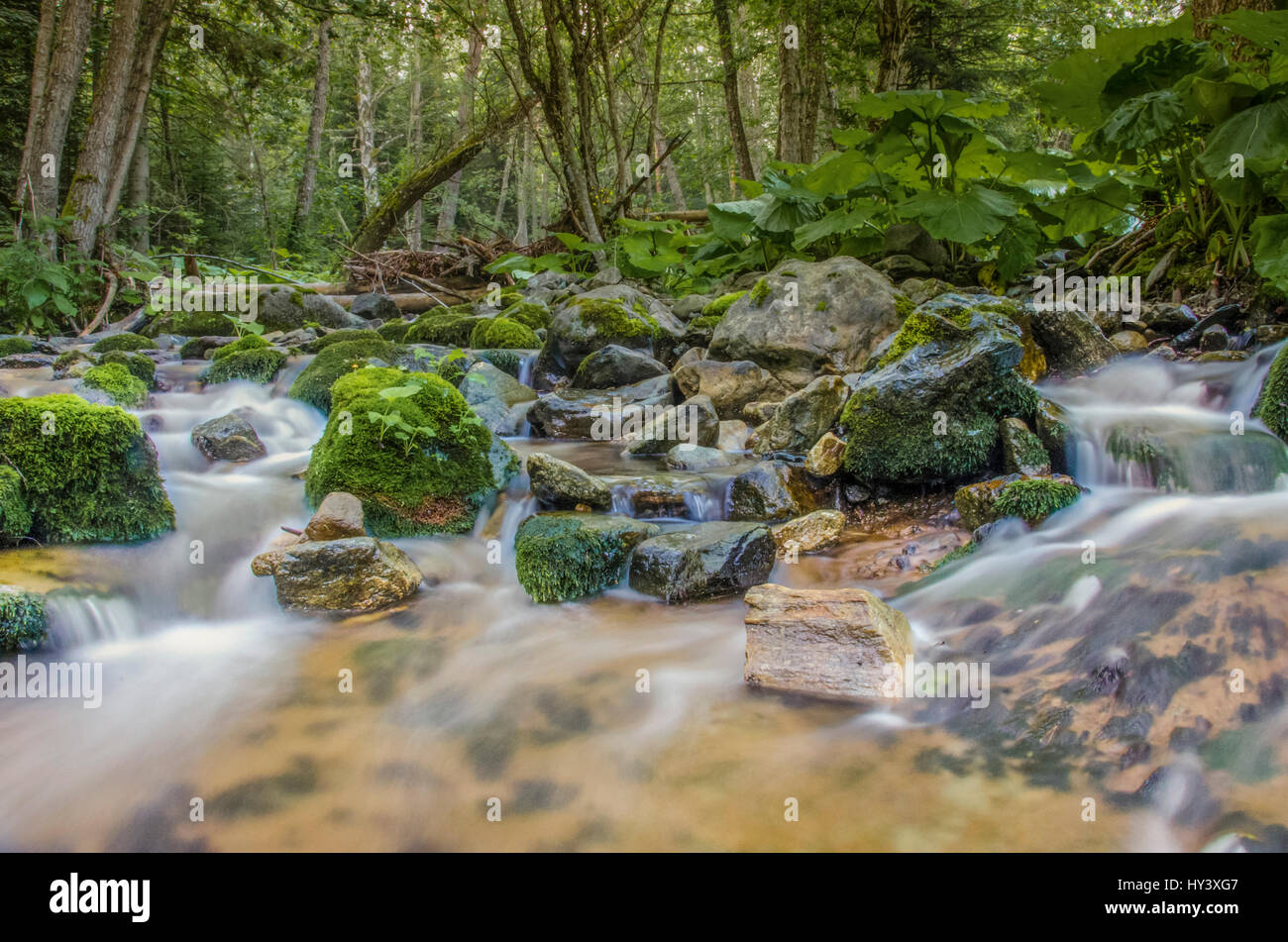Wild River in Nature – Relaxing Water Background Stock Photo - Alamy