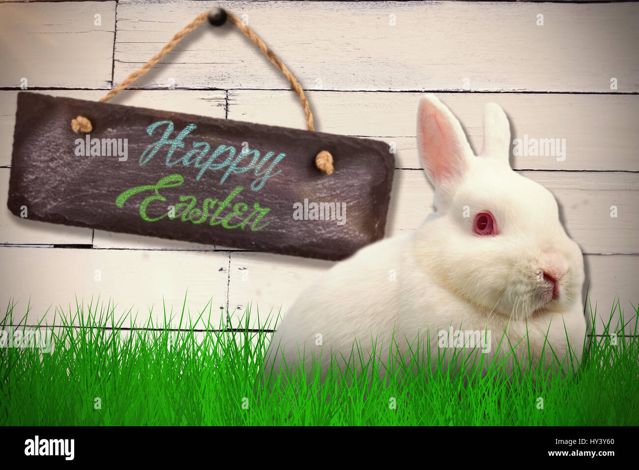 Close up portrait of cute rabbit against wood panelling Stock Photo - Alamy