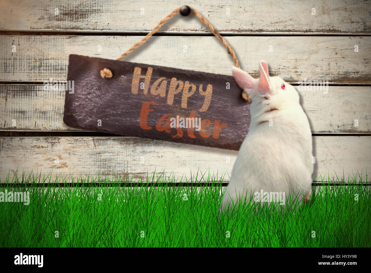 Rear view of cute rabbit against wood background Stock Photo - Alamy