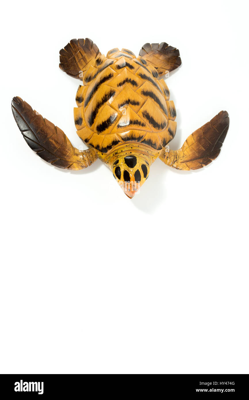 Sea turtle carved on real natural wood isolated in white background ...