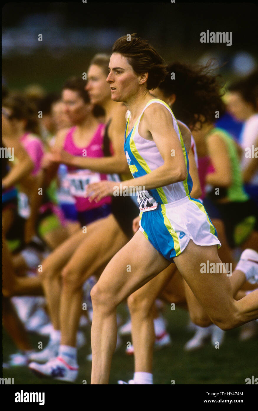 Van Cortland Park High Resolution Stock Photography and Images - Alamy