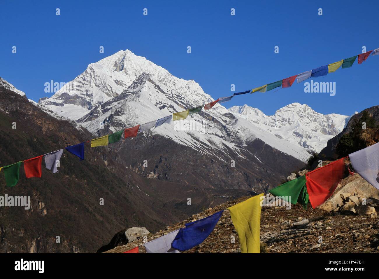 Tesi lapcha la hi-res stock photography and images - Alamy