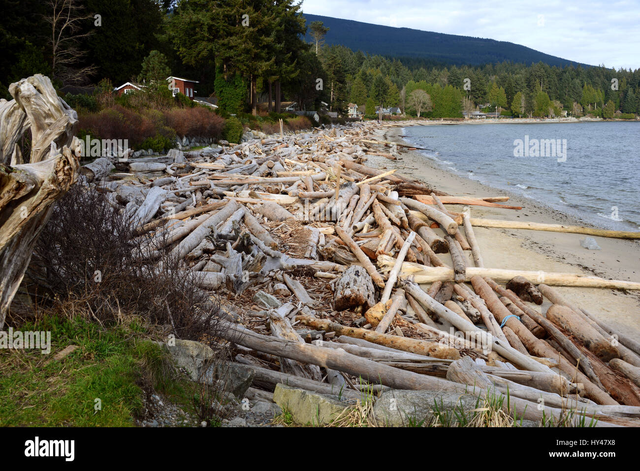 Drift logs hi-res stock photography and images - Alamy