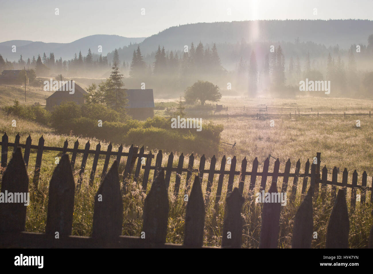 Morning dew fog sun rays in mountains Stock Photo - Alamy