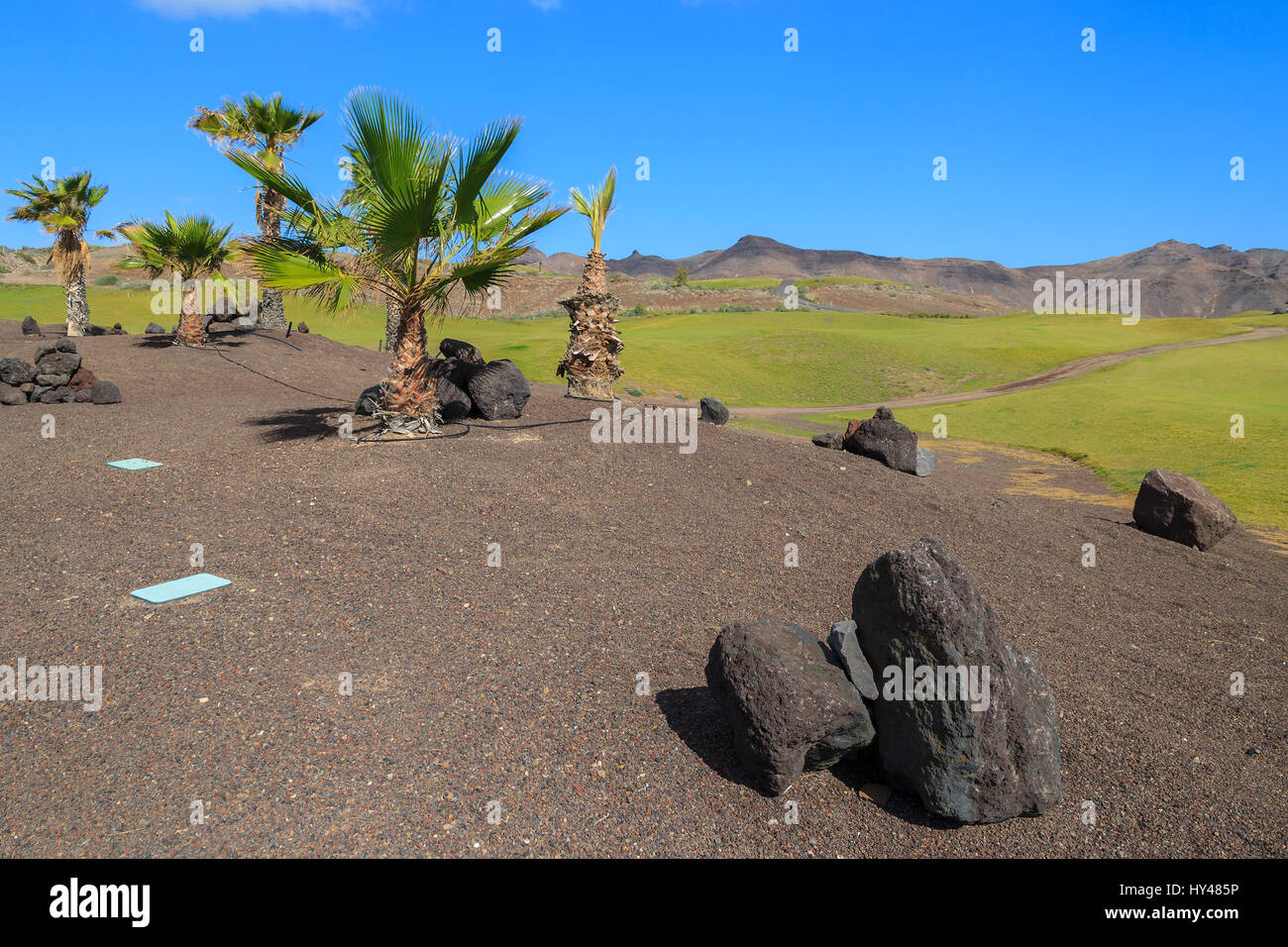 Volcanic rocks and palm trees on a golf course in Las Playitas town ...